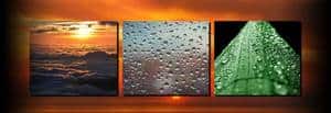 What Is Dew Point And How Does It Affect Rainfall?