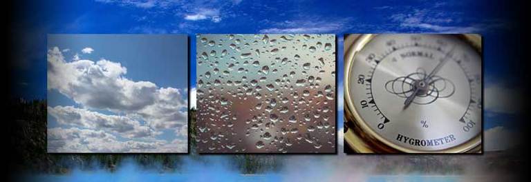 What Causes Humidity? Defining Humidity And Its Characteristics