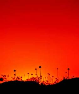 Why The Sky Is Blue And Explaining Some Interesting Different Sky Colors