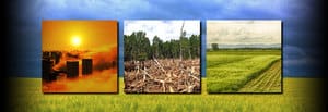 The Effects Of Deforestation & Other Human Activities On Local Weather