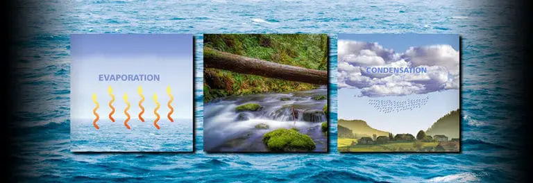 What Is The Water Cycle, And How Does It Work?