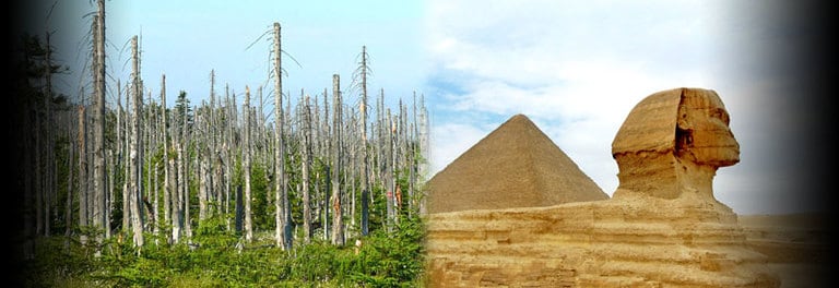 Acid Rain Facts: What Is Acid Rain And What You Need To Know