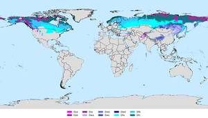 Köppen Climate Classification: Defining The Climate Zones Of The World