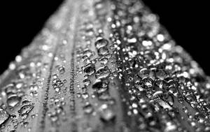 What Is Dew Point And How Does It Affect Rainfall?