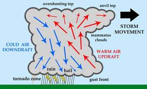 Bubble Clouds: Defining Mammatus Clouds And How They Form