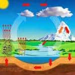 What Is The Water Cycle, And How Does It Work?