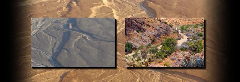 Ephemeral Stream: What It Is And How It Occurs